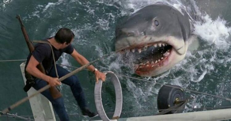 «Jaws» présenté au cinéma en IMAX et RealD 3D pour la première fois dès ...